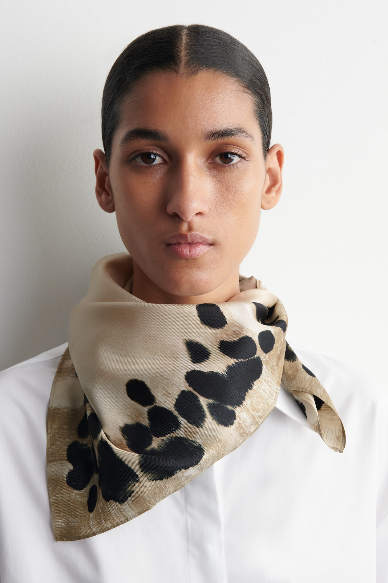 ANIMAL-PRINT SILK SCARF - CHAMPAGNE / ANIMAL PRINT | COS