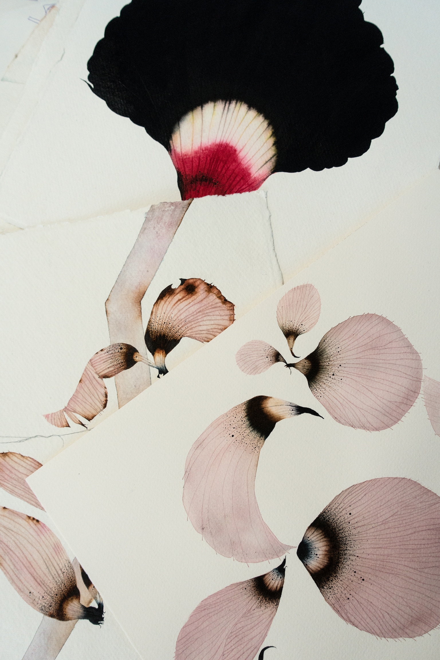 People: Stephen Doherty on flowers and artistry – COS | COS