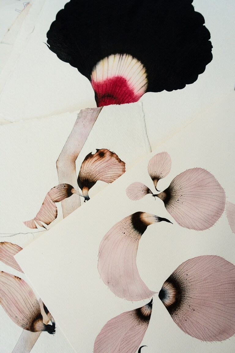 People: Stephen Doherty on flowers and artistry – COS | COS